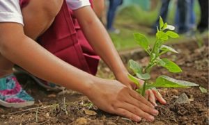 Specialty Programs | Specialty Program Group