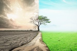Environmental Insurance and the Pollution Exclusion | SPG